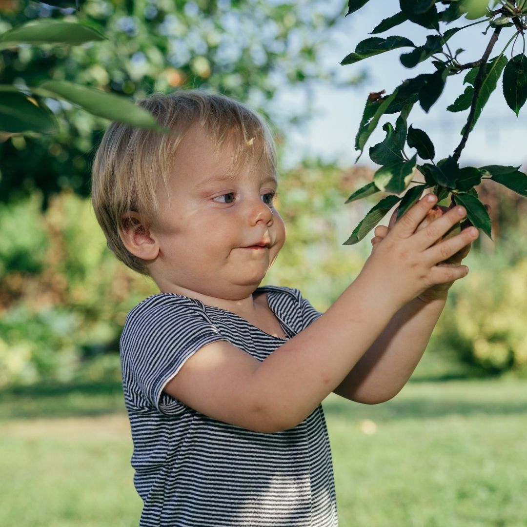 OUTDOOR PLAY – Axel Adventures USA